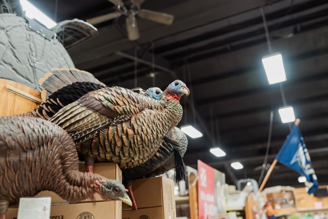 Outdoor Sporting | Anderson's General Store